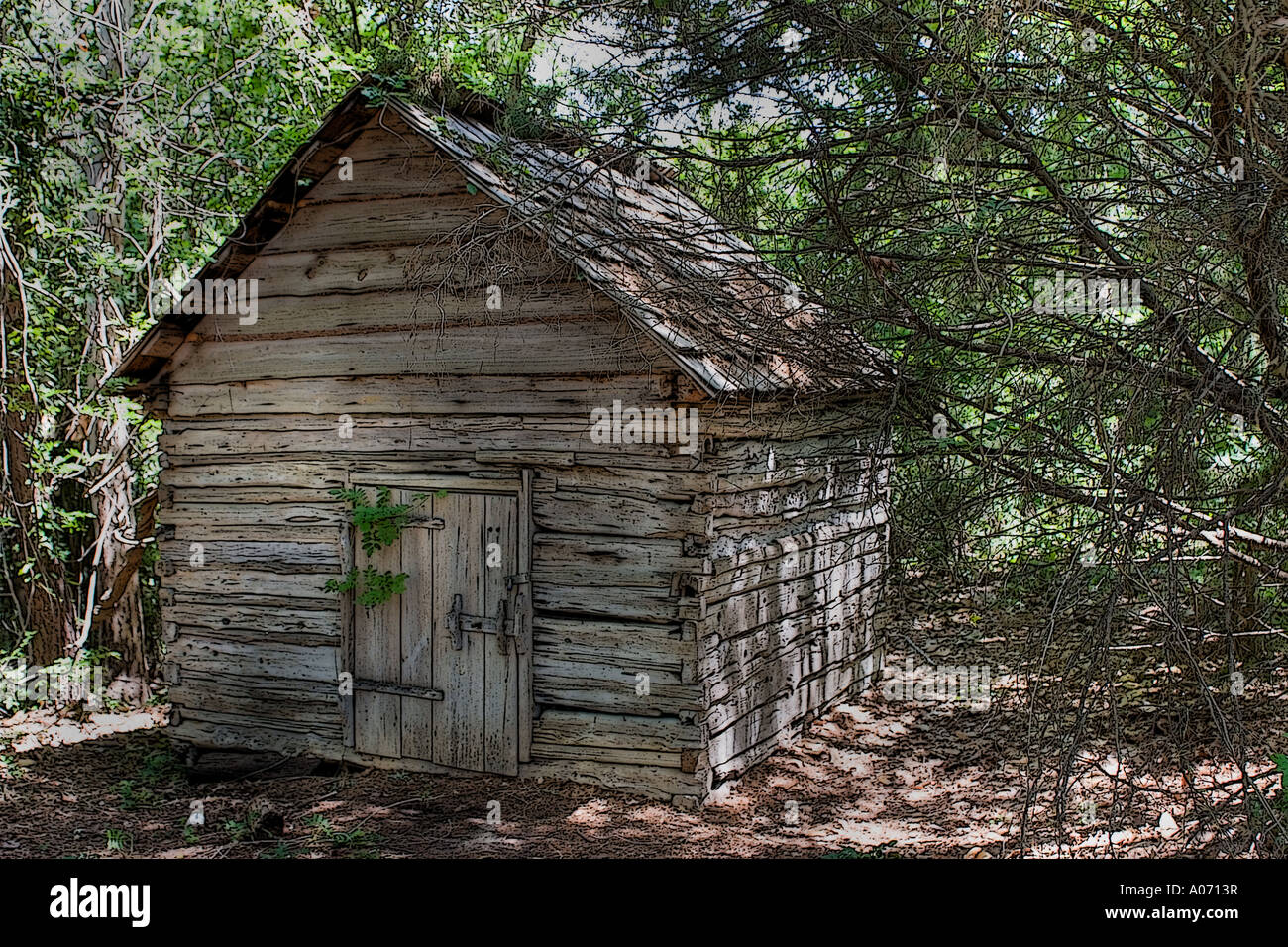 Pioneer cabin tree hi-res stock photography and images - Alamy