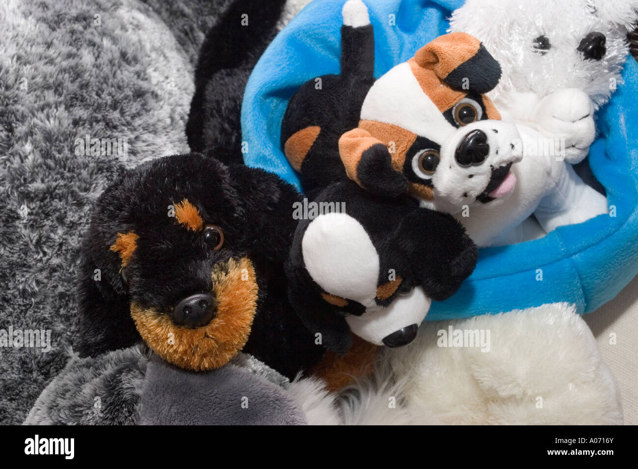 Puppy dog stuffed animals Stock Photo - Alamy
