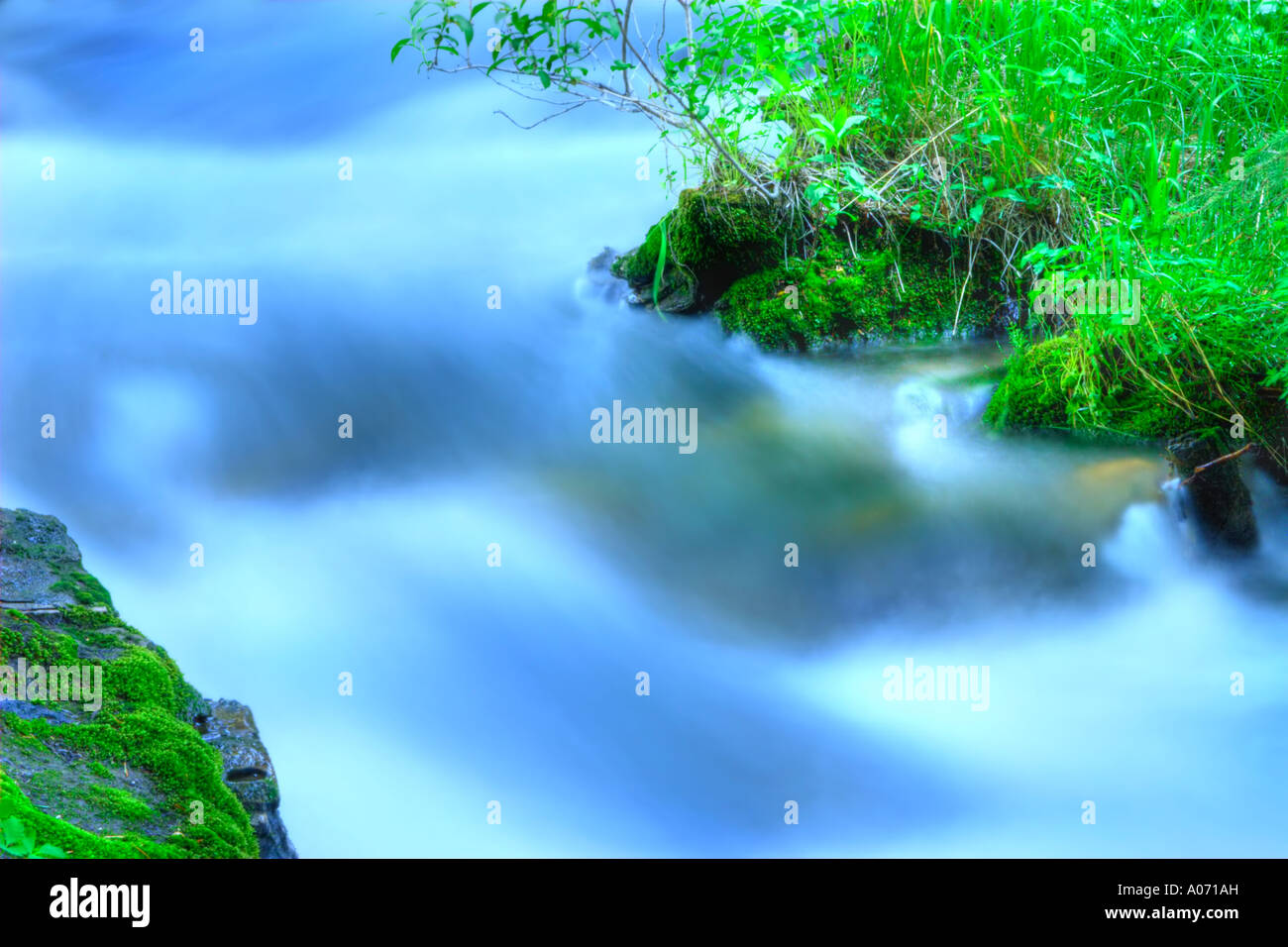 River moss running blurred and soft water Stock Photo - Alamy