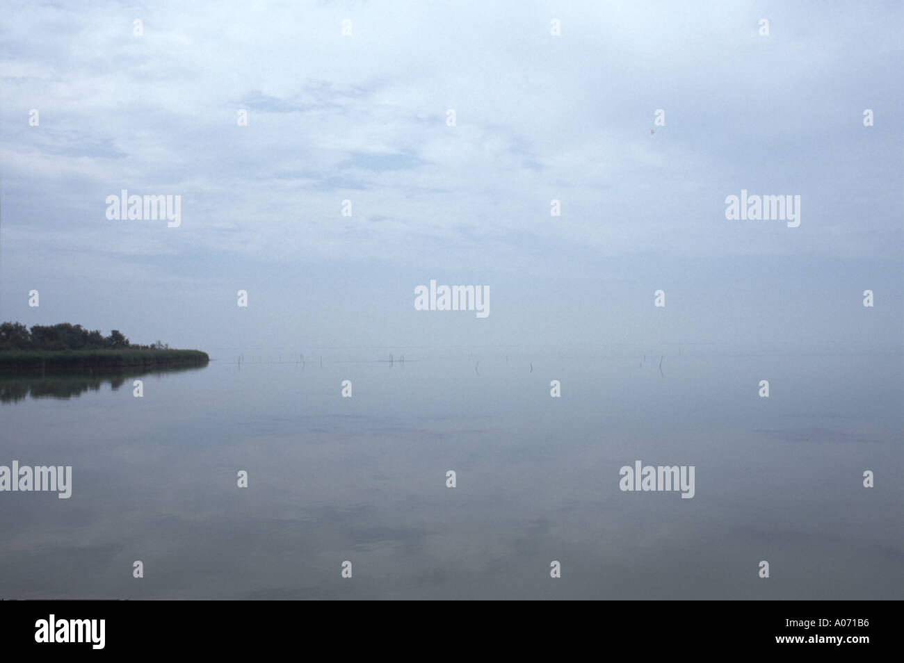 Home pond hi-res stock photography and images - Alamy