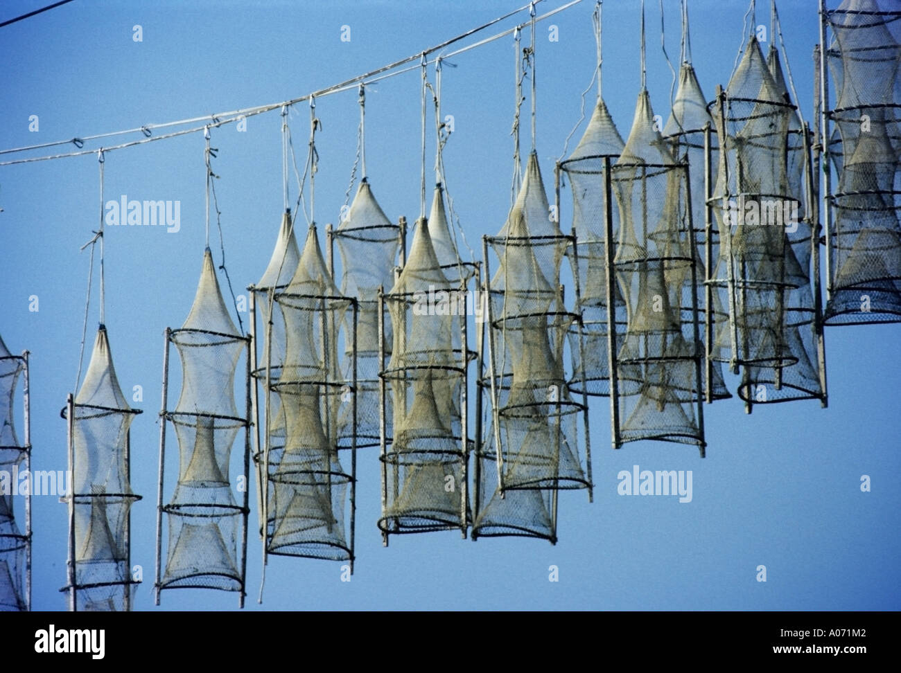 Hoop nets used to catch eel and smelt hanging to dry Yerseke Zeeland ...