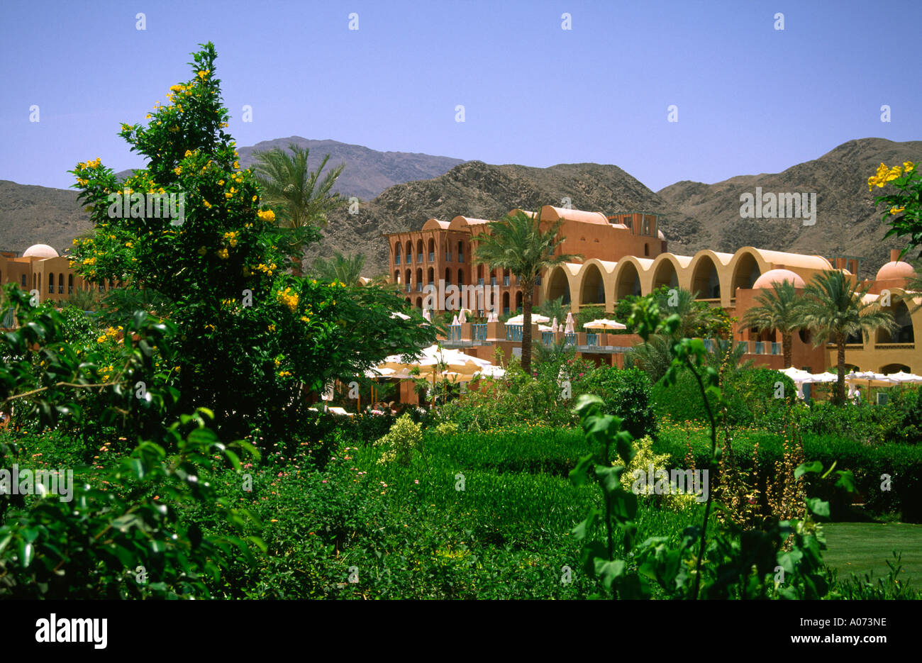 Gulf of aqabah hi-res stock photography and images - Alamy