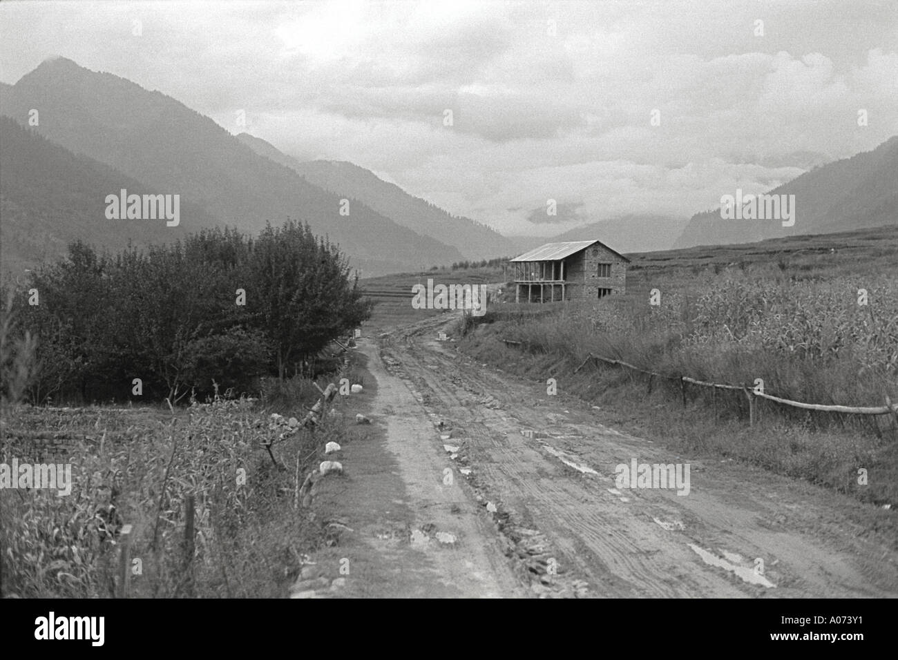 Dirt road at village near Manali Himachal Pradesh India Stock Photo - Alamy