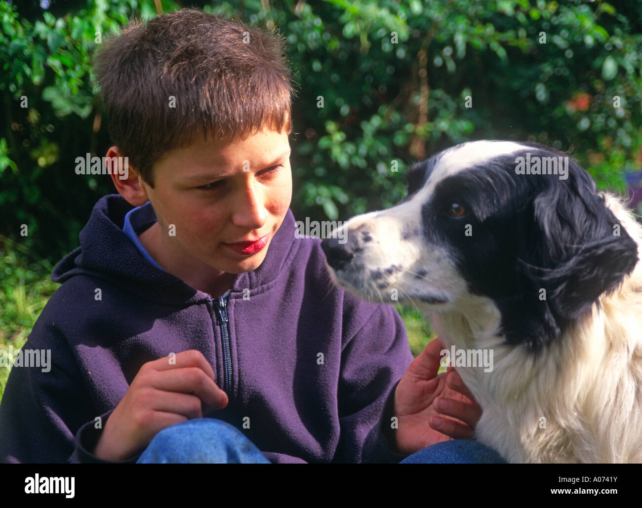 Boy and sheepdog hi-res stock photography and images - Alamy