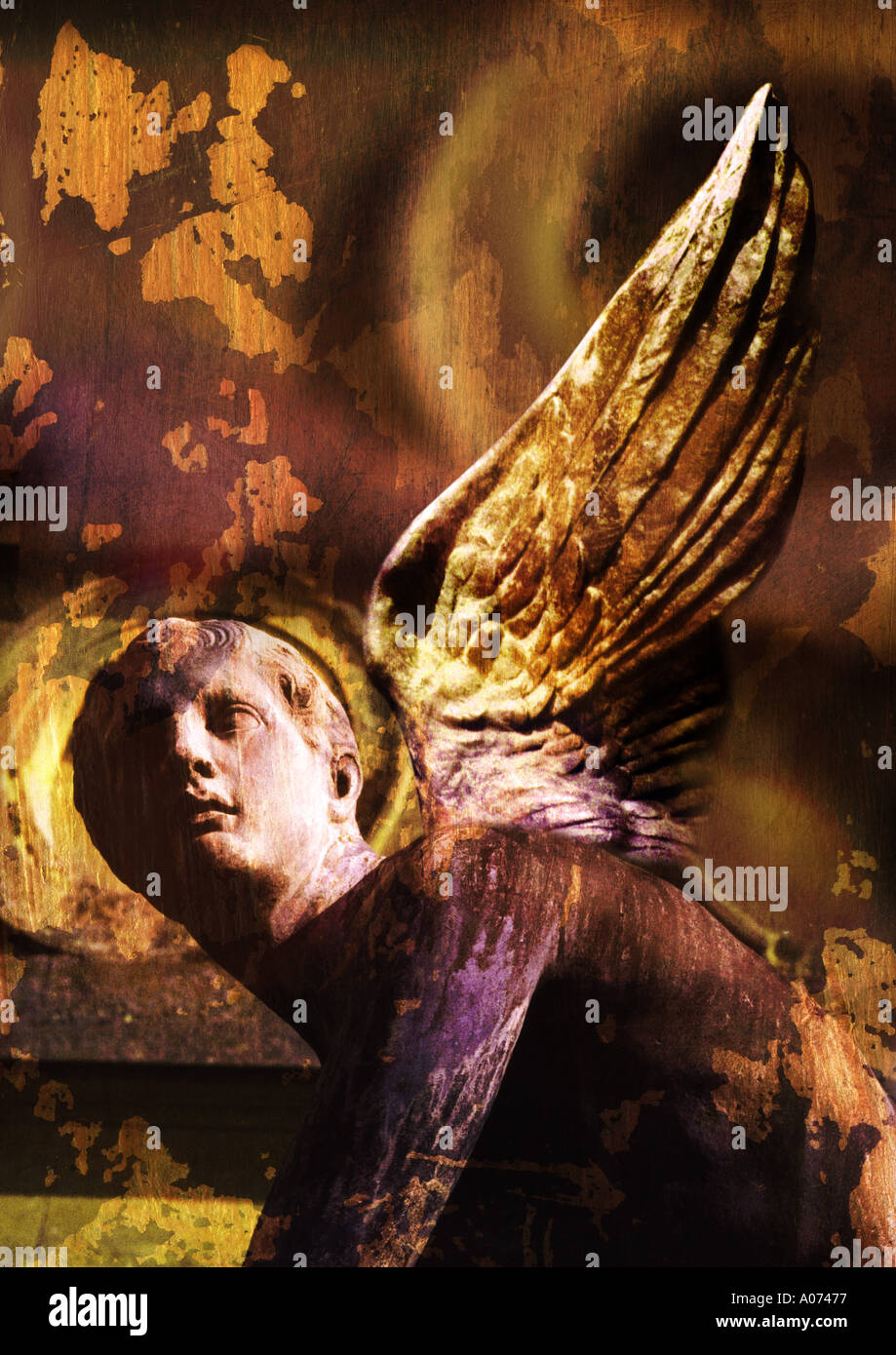 Angel High Resolution