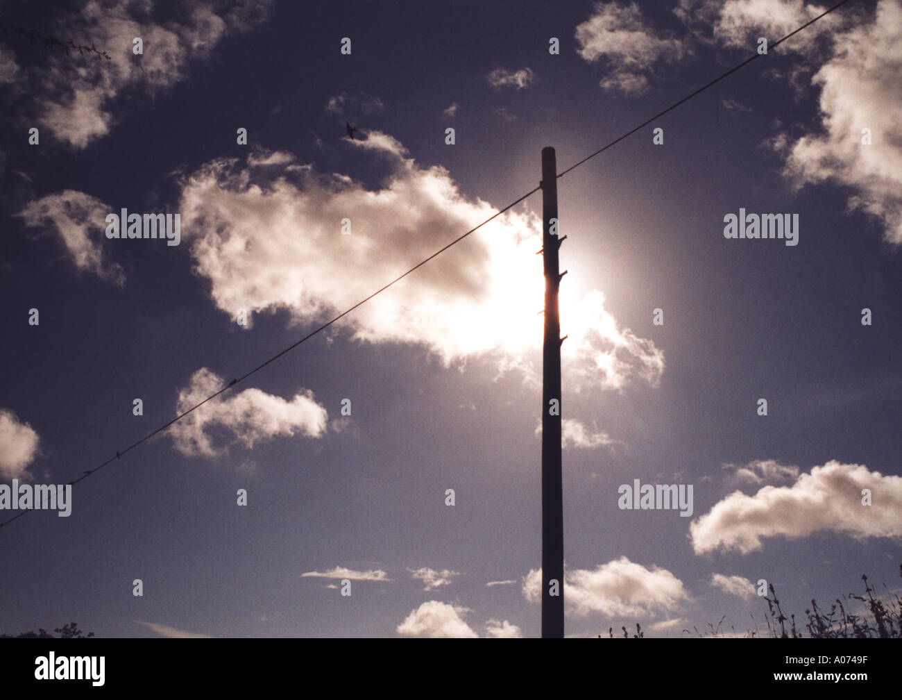 Telegaraph pole hi-res stock photography and images - Alamy