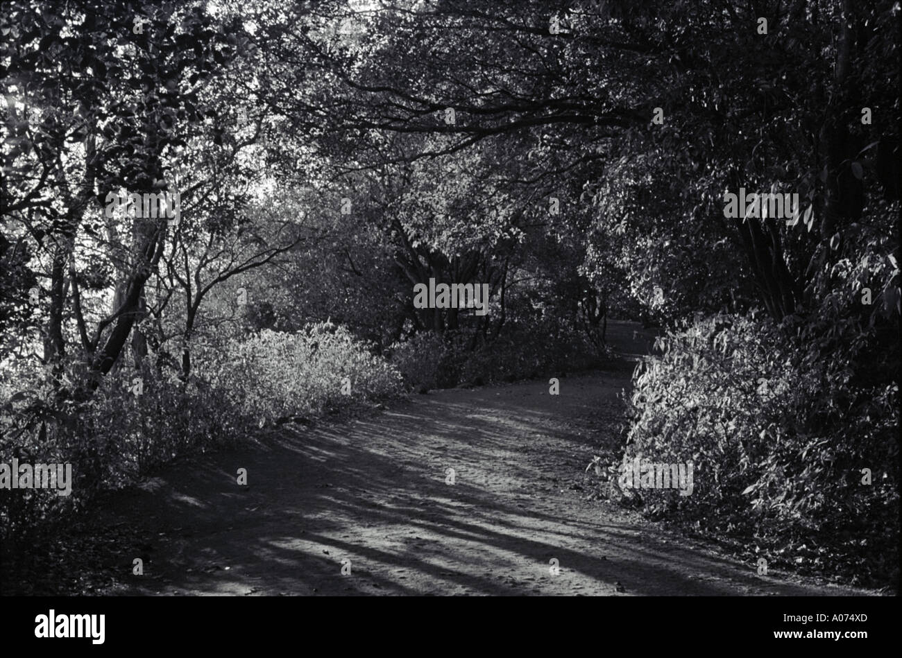 Matheran trail hi-res stock photography and images - Alamy