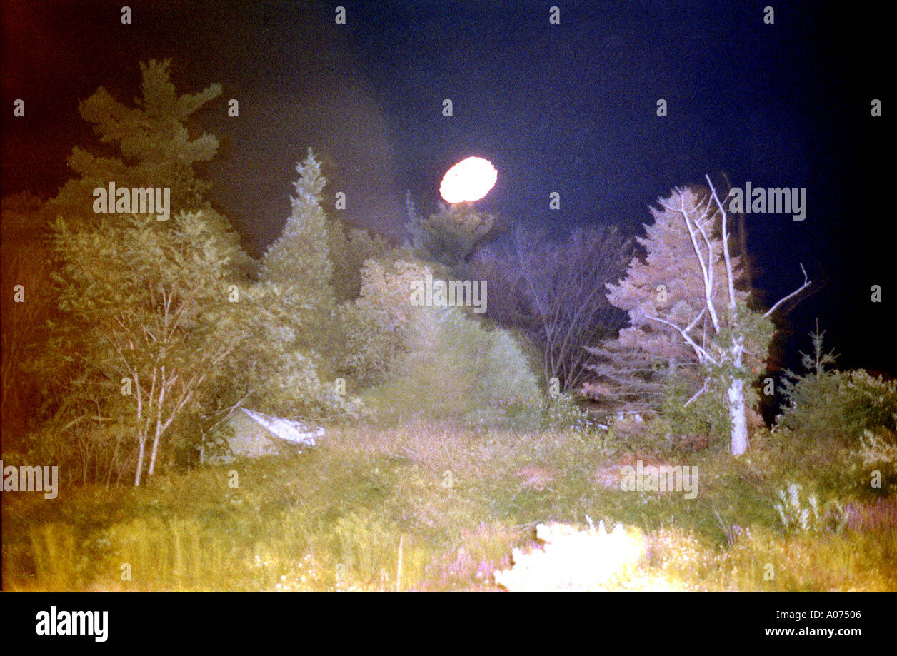 Night scene in forest hi-res stock photography and images - Alamy