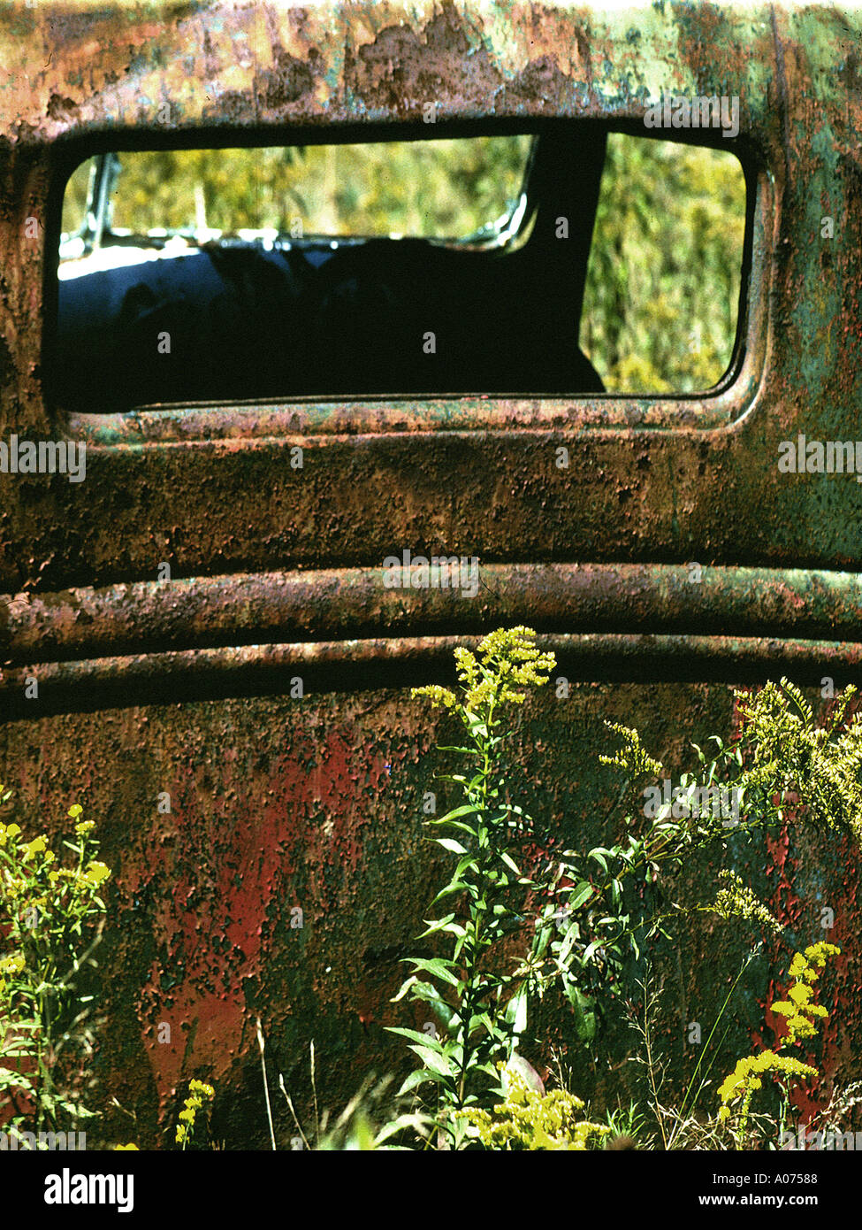 Overgrown Car High Resolution Stock Photography and Images - Alamy