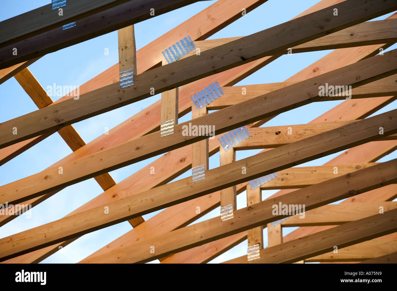 Strong porter house hi-res stock photography and images - Alamy