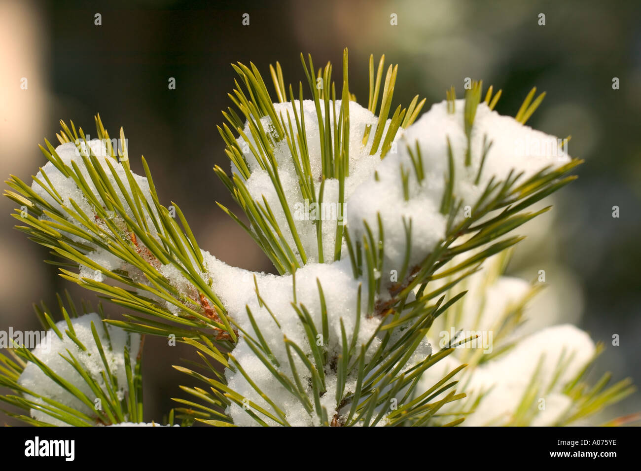 Freezing weather tips hi-res stock photography and images - Alamy