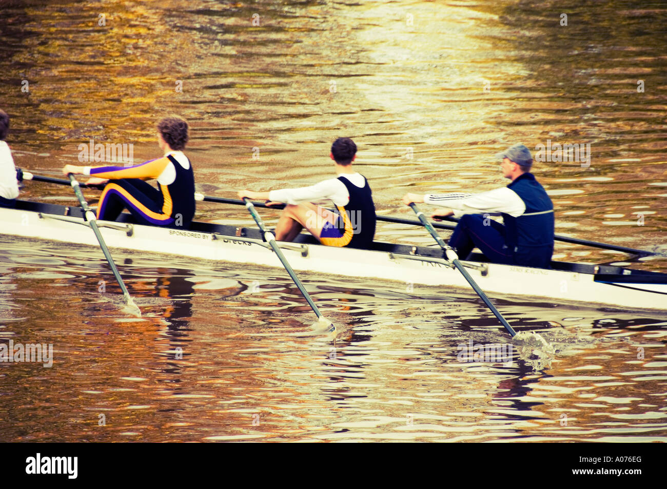 Sculling scull sculls hi-res stock photography and images - Alamy