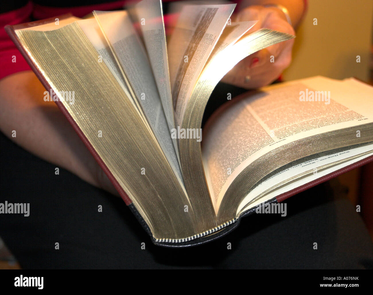 Referance hi-res stock photography and images - Alamy