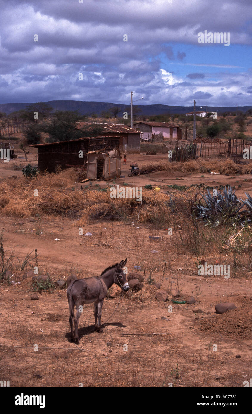 Village in the Sertao Brazil Stock Photo - Alamy