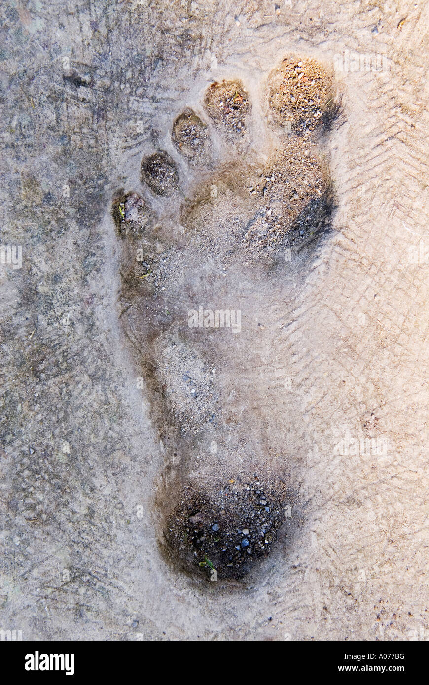 Foot in cement hi-res stock photography and images - Alamy