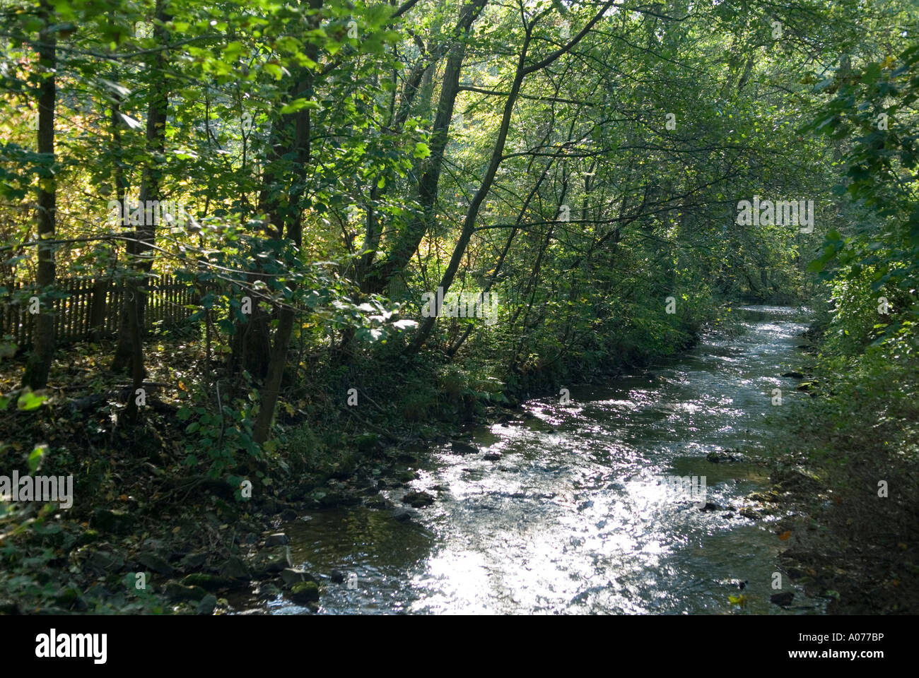 Neandertal Valley, Germany Stock Photo - Alamy