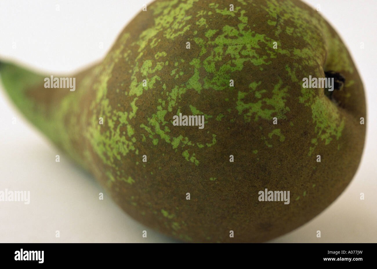 Perry pear tree hi-res stock photography and images - Alamy