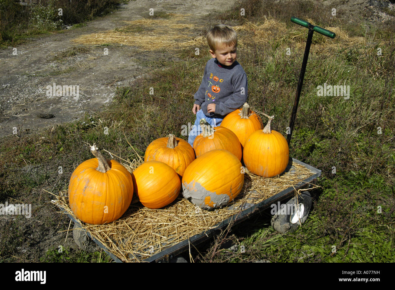 164 hi-res stock photography and images - Alamy