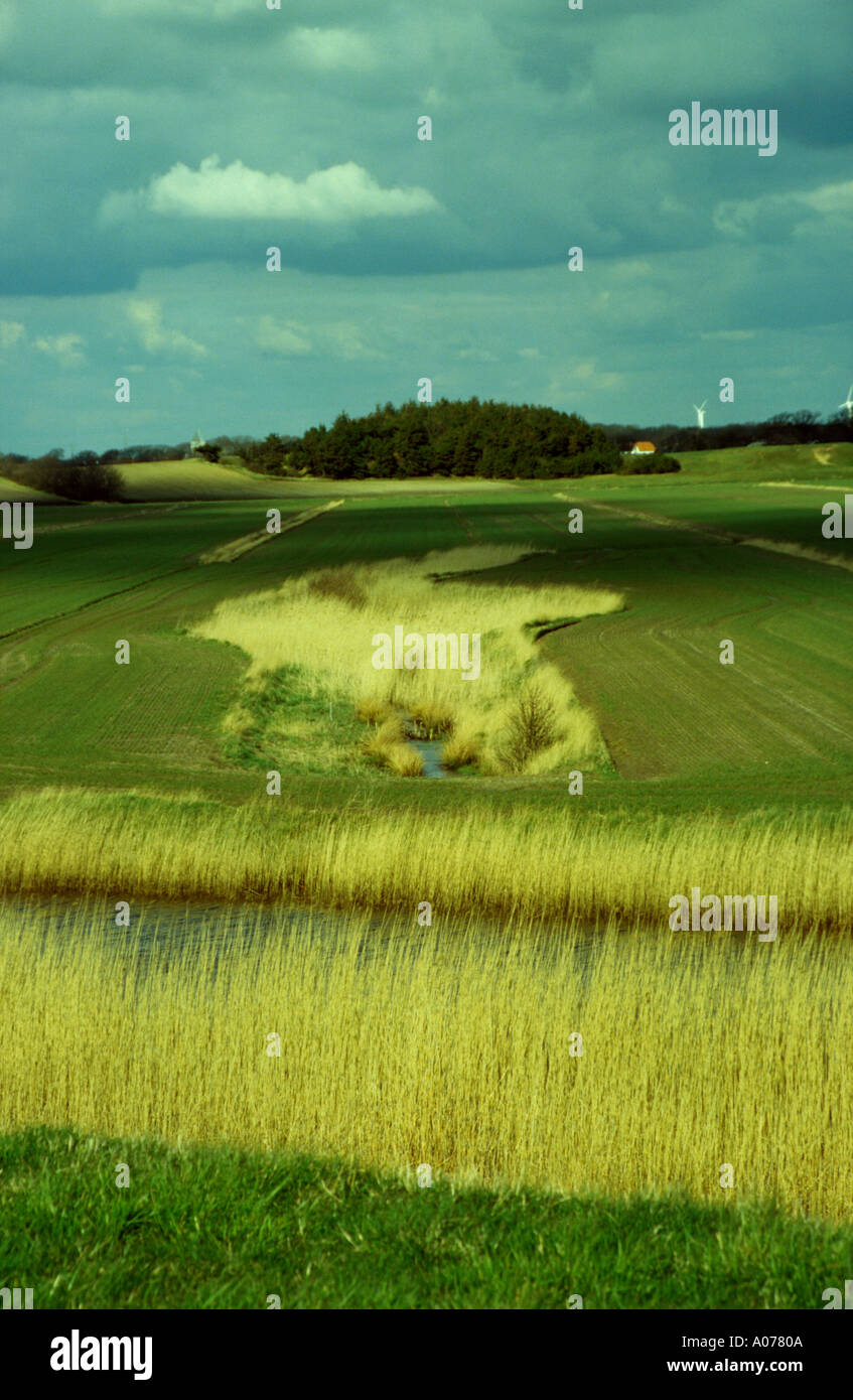 A typical agricultural landscape behind the dike at the west coast of ...