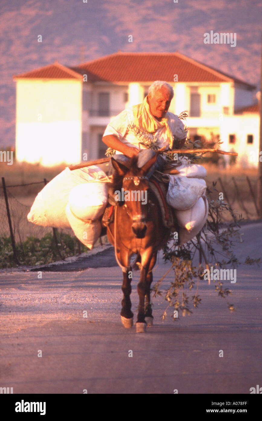 Donkey carrying heavy load hi-res stock photography and images - Alamy