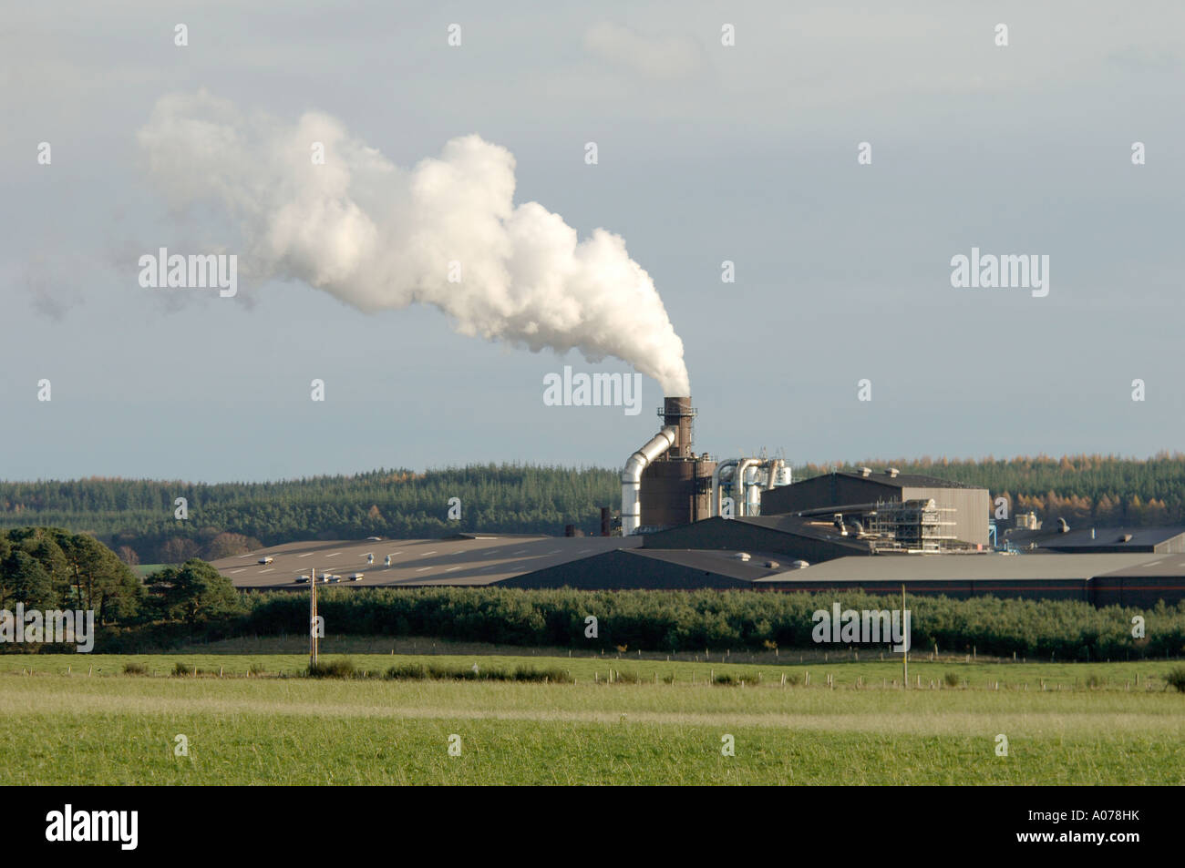 Norbord Timber Processing Plant Inverness Stock Photo - Alamy
