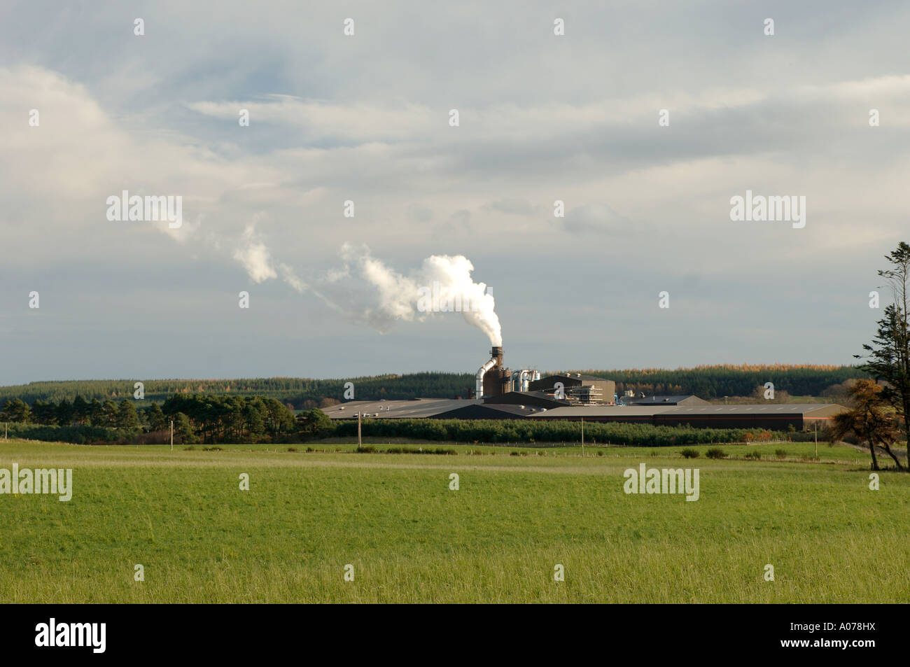Norbord Timber Processing Plant Inverness Stock Photo - Alamy