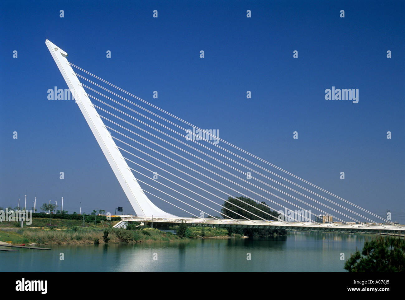 Puento del Alamillo in Seville, Spain Stock Photo - Alamy