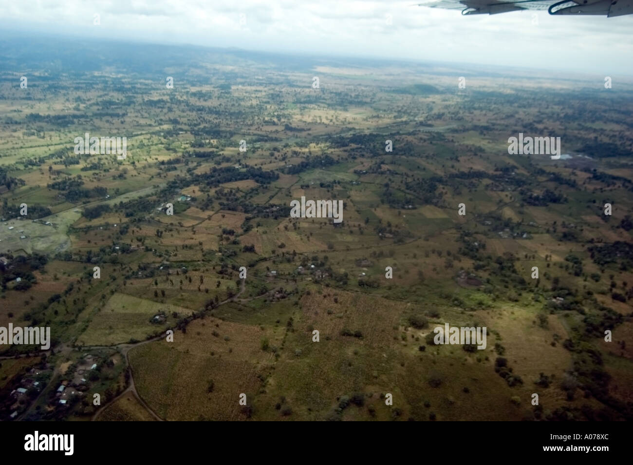 Aerial view of the Masai Mara plains, with it's lush green grass in ...