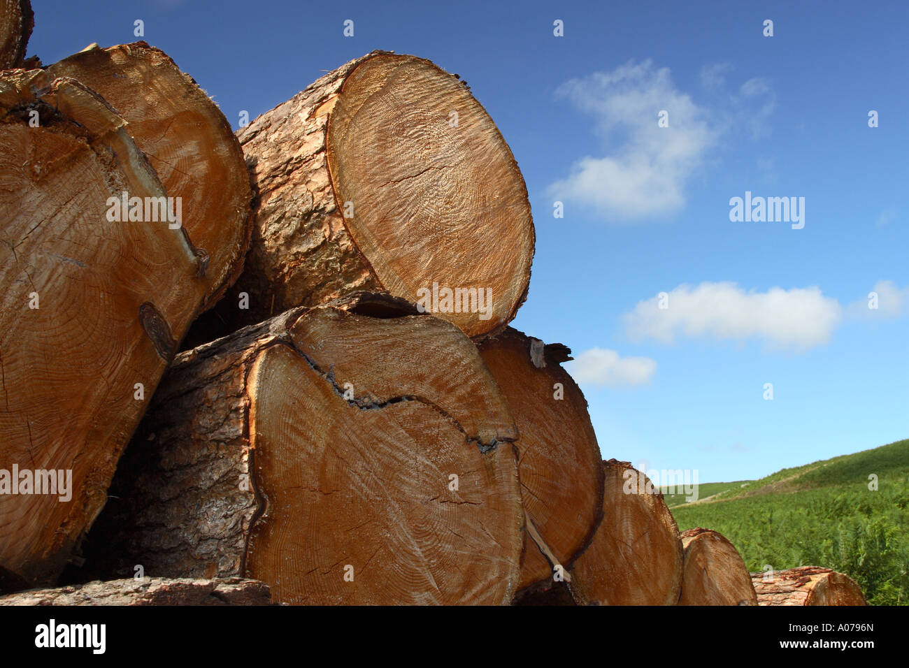 Bracken harvest hi-res stock photography and images - Alamy