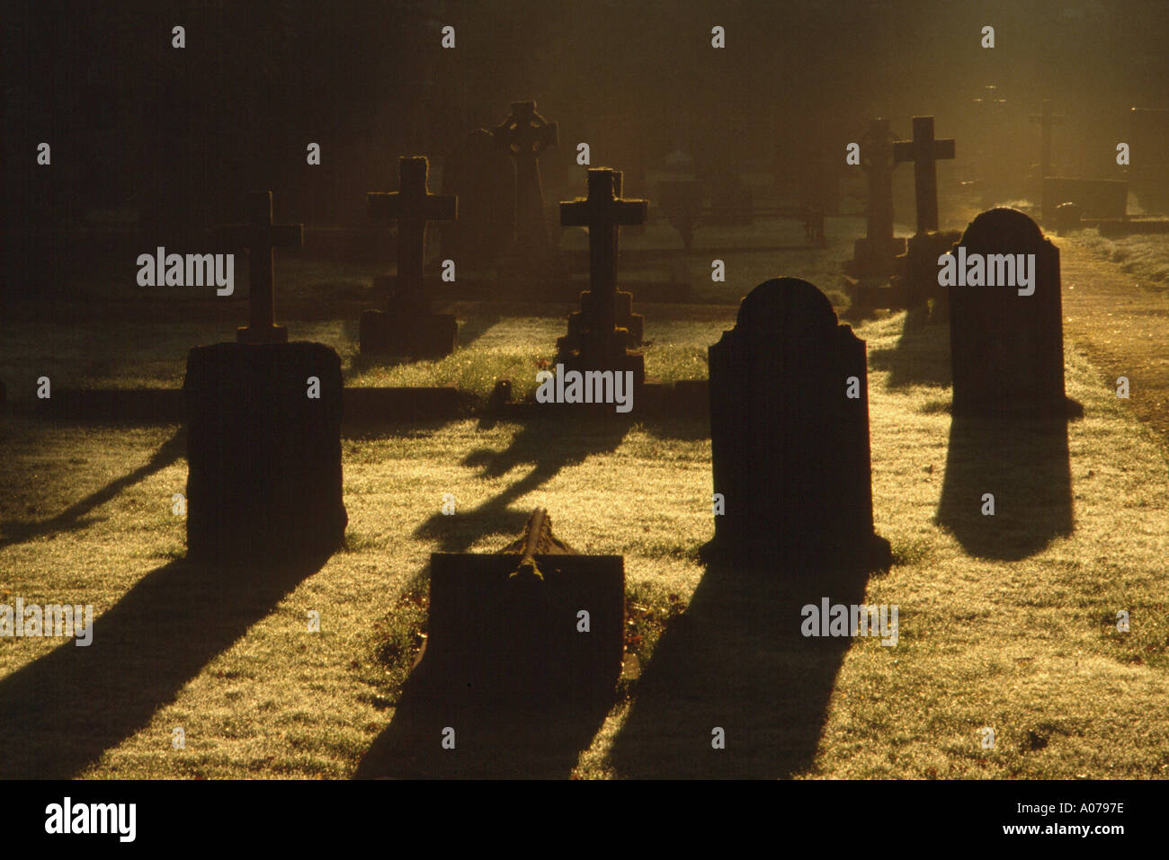 Remembered silhouettes hi-res stock photography and images - Alamy