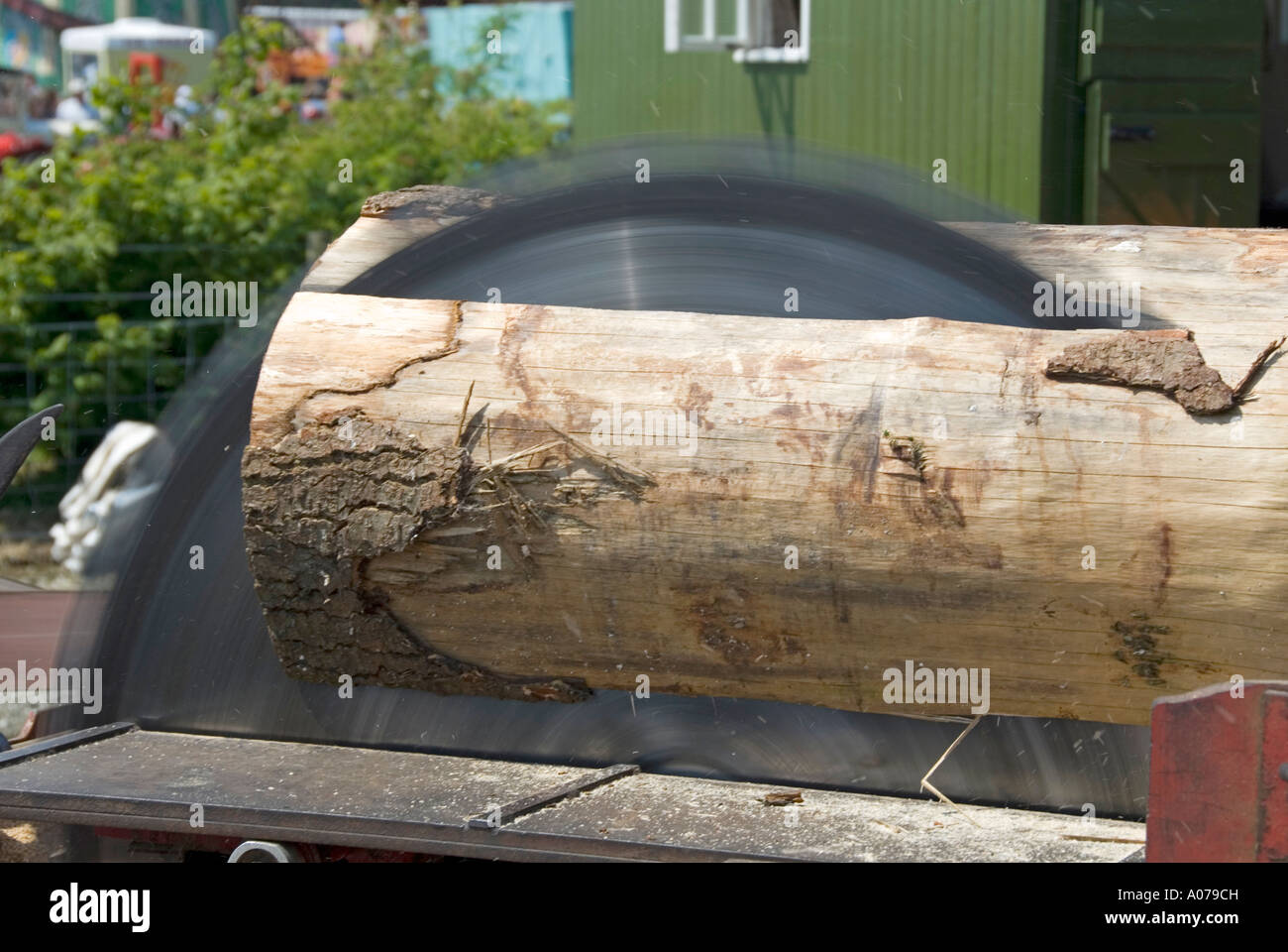 Circular blade sawing through a long tree log using a fixed large diameter mechanically driven ...