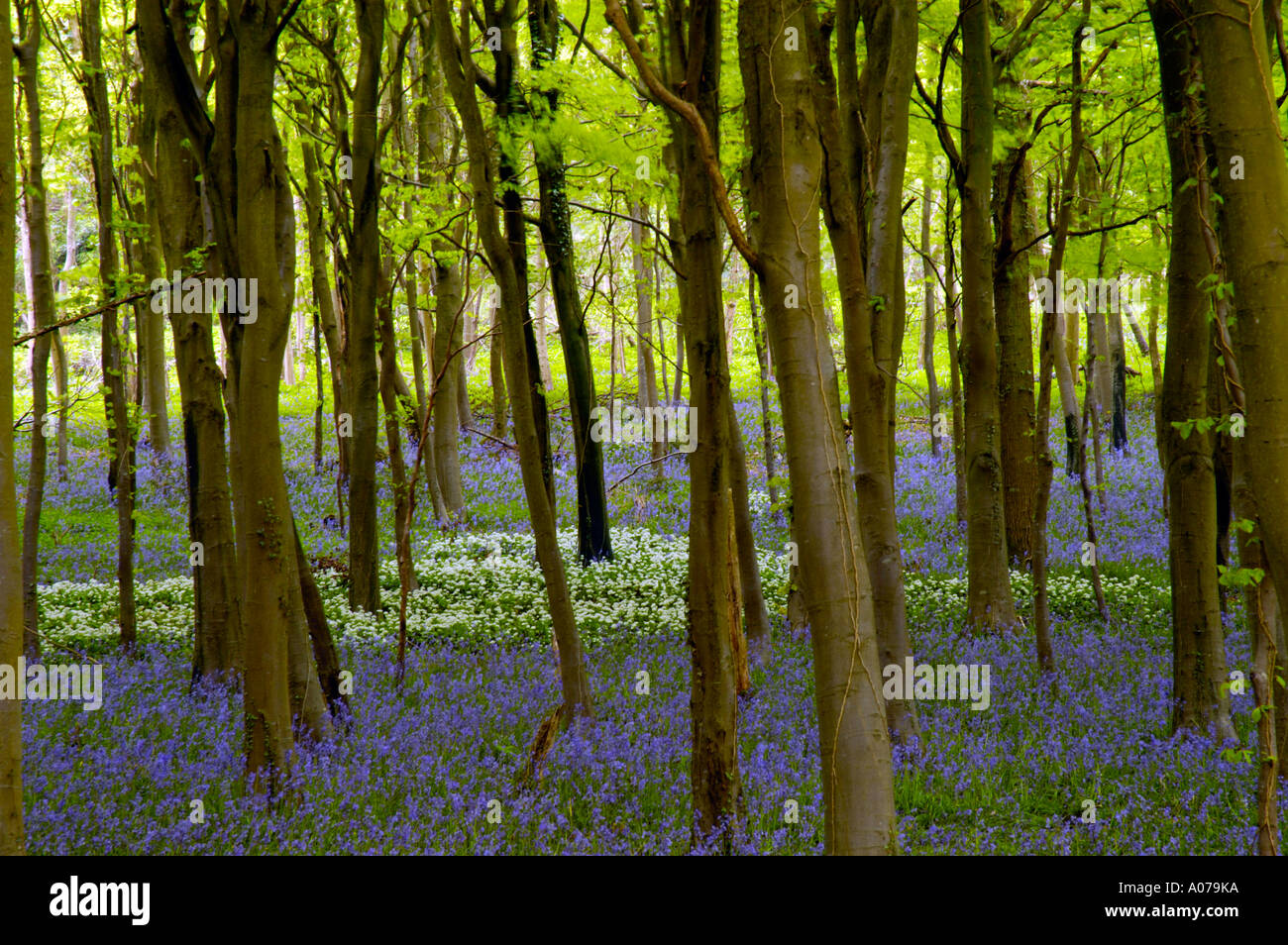 Nine barrow down hi-res stock photography and images - Alamy