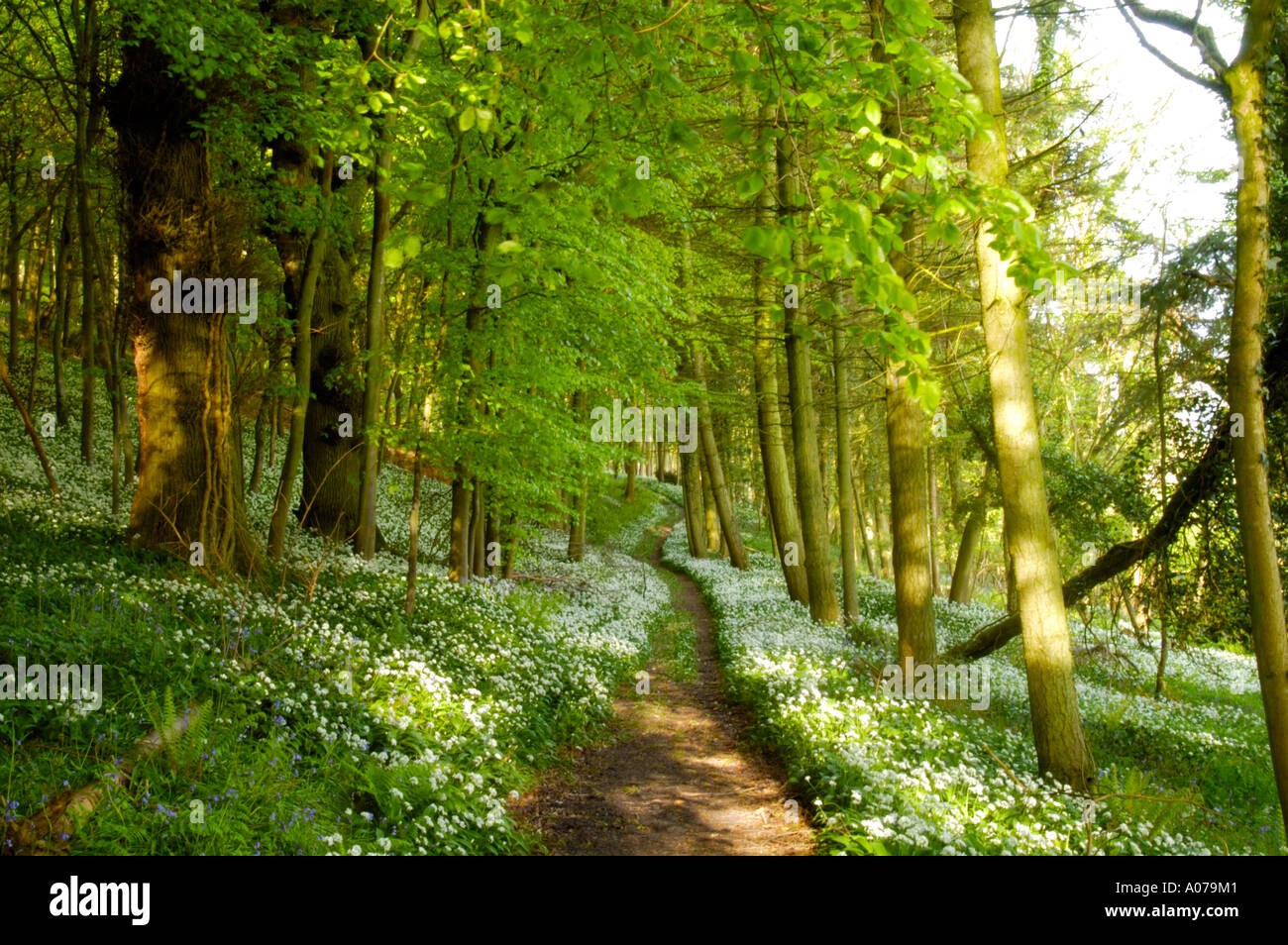 Nine barrow down hi-res stock photography and images - Alamy