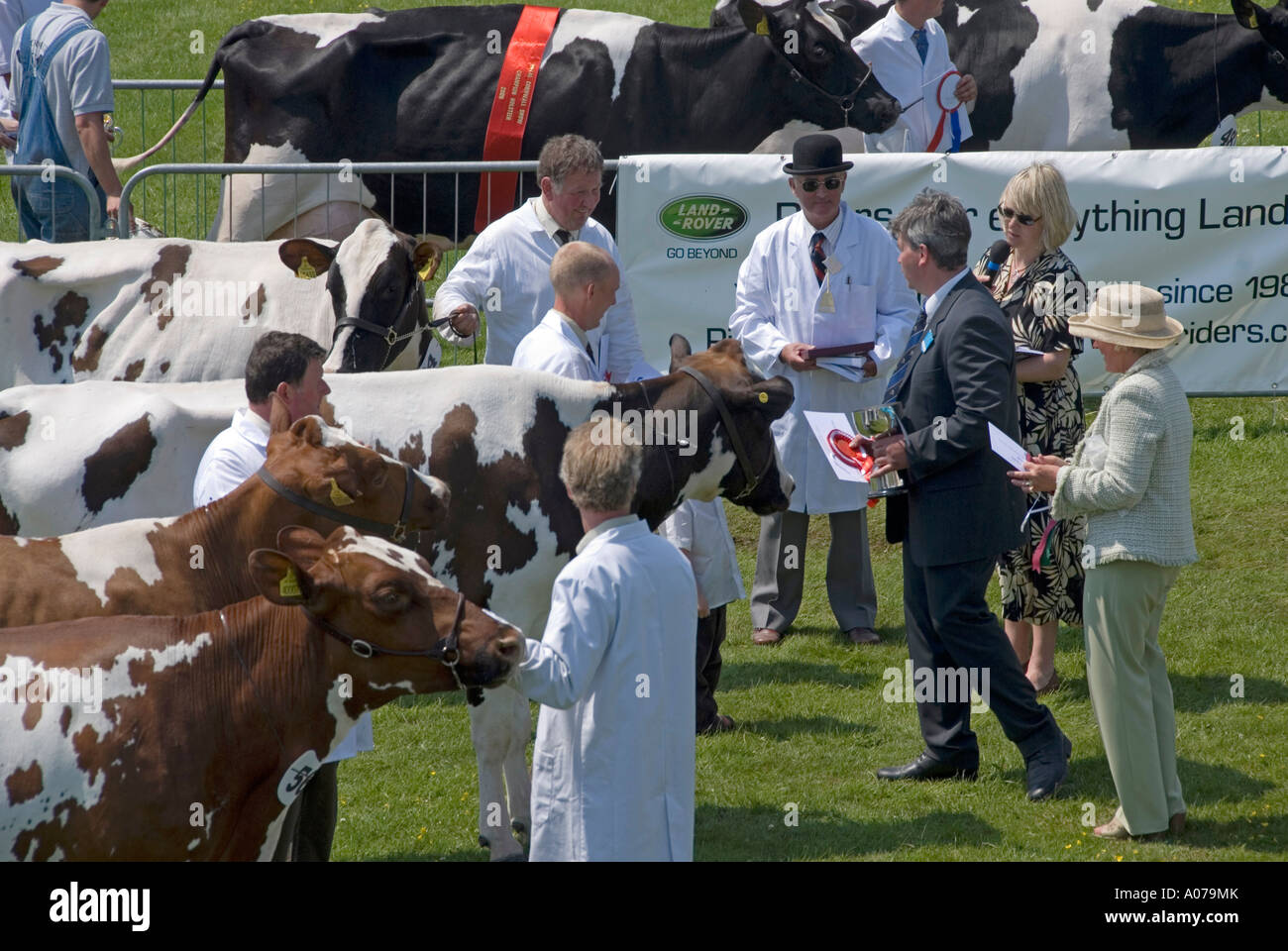Judge presenting awards in The Royal Cornwall Show judging ring ...