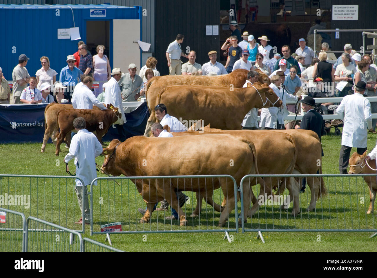 Royal Cornwall Agricultural Summer Show farmers livestock cattle ...