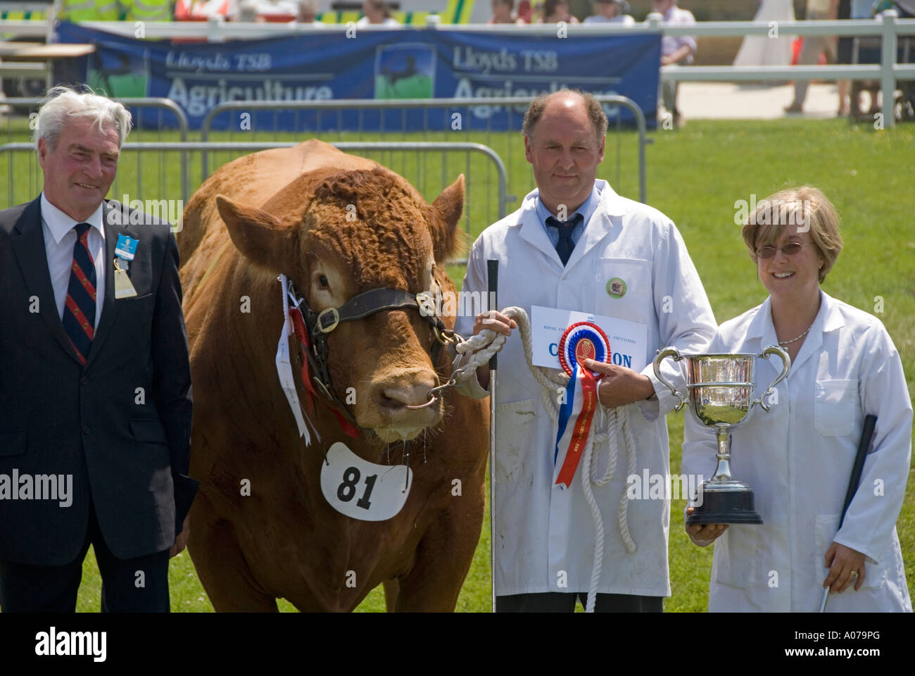 Close up judge and handlers pose in arena beside champion livestock ...