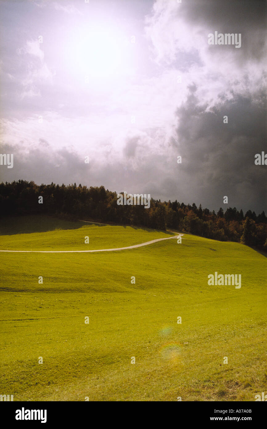 Open meadow with trail in the forests of Slovenia Stock Photo - Alamy