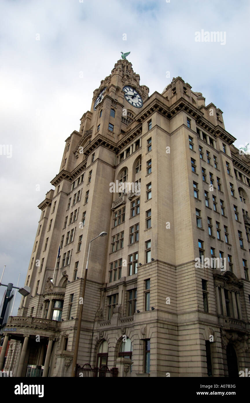 The Royal Liver Building on Liverpool waterfront Stock Photo - Alamy