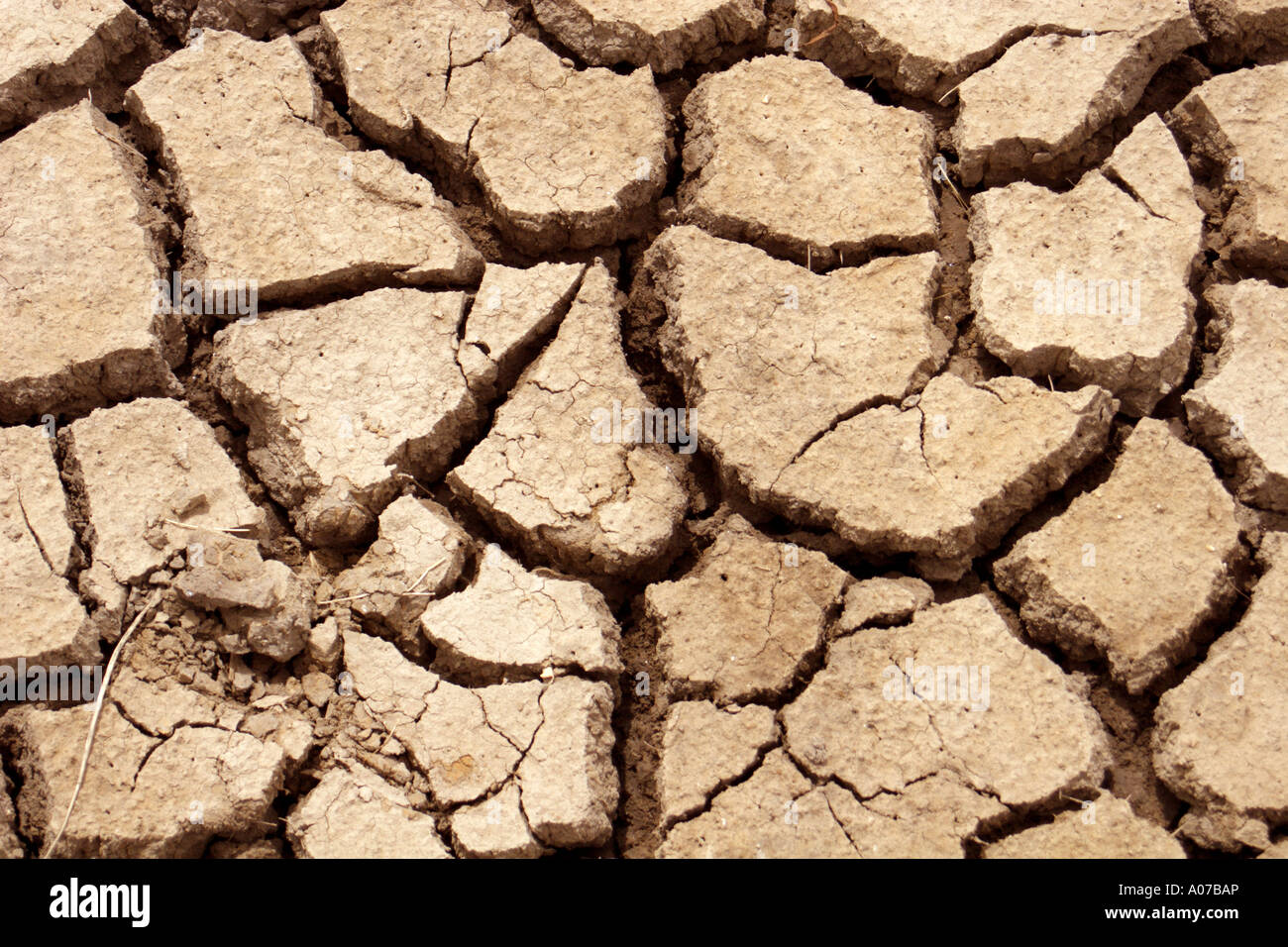 Baked earth at the Wash, Lincolnshire, UK Stock Photo - Alamy