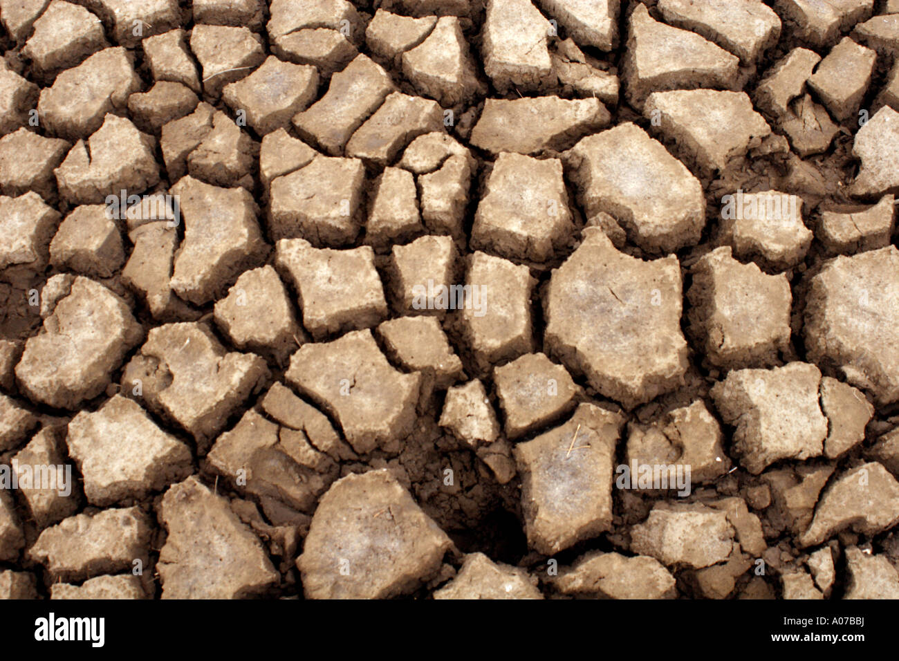 Baked earth at the Wash, Lincolnshire, UK Stock Photo - Alamy