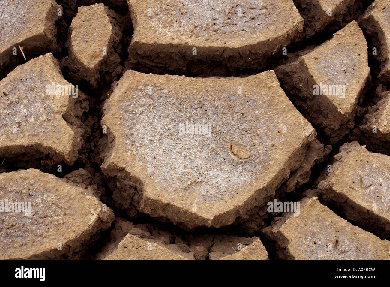 Baked earth at the Wash, Lincolnshire, UK Stock Photo - Alamy