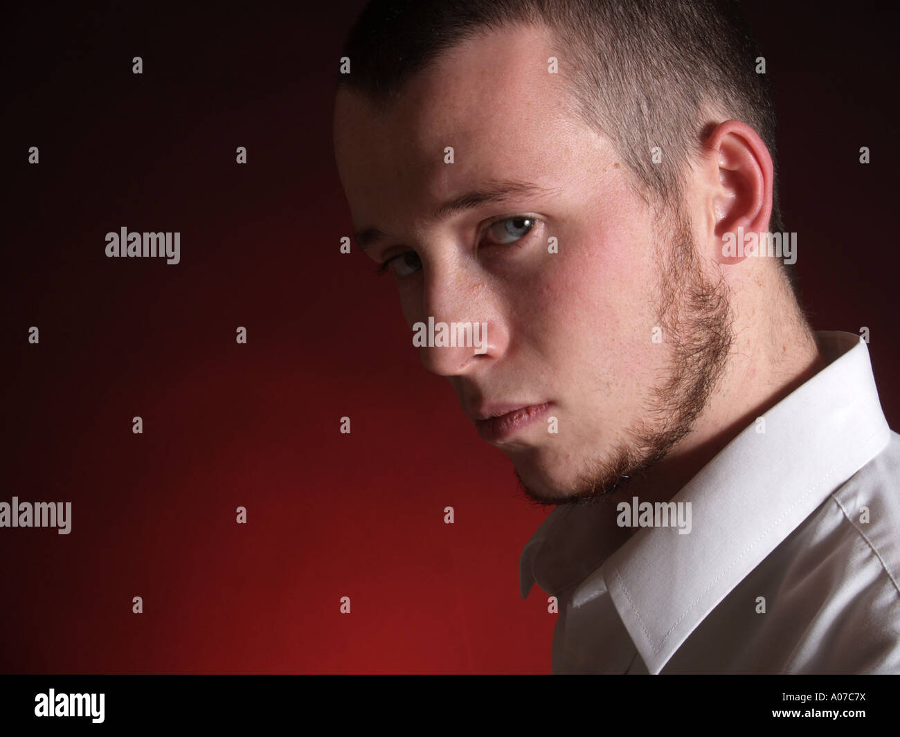 Graduated blue studio background hi-res stock photography and images ...