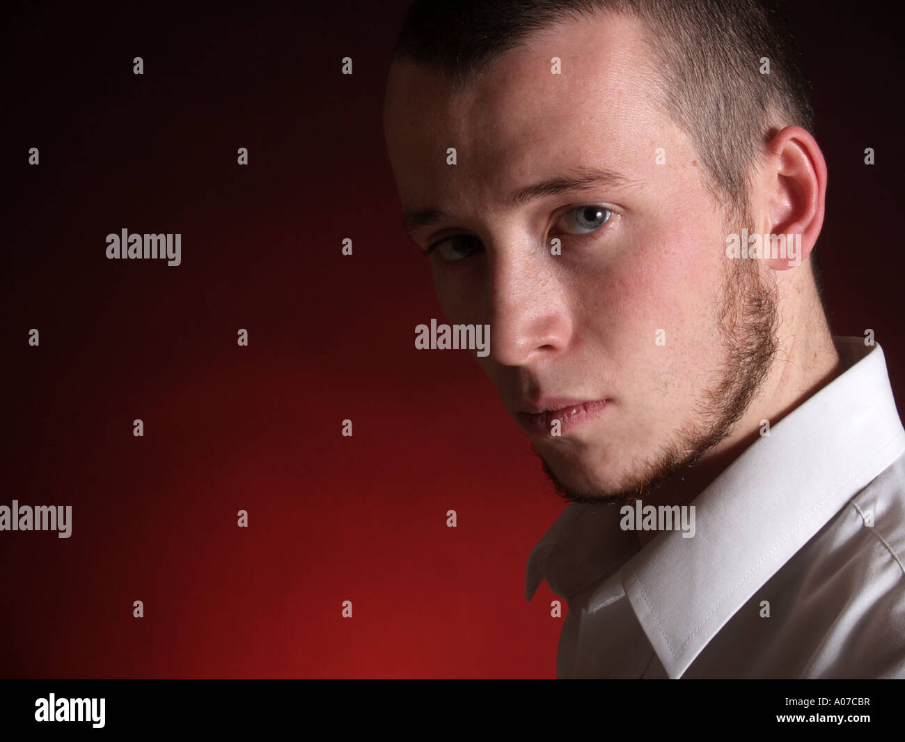 Graduated blue studio background hi-res stock photography and images ...