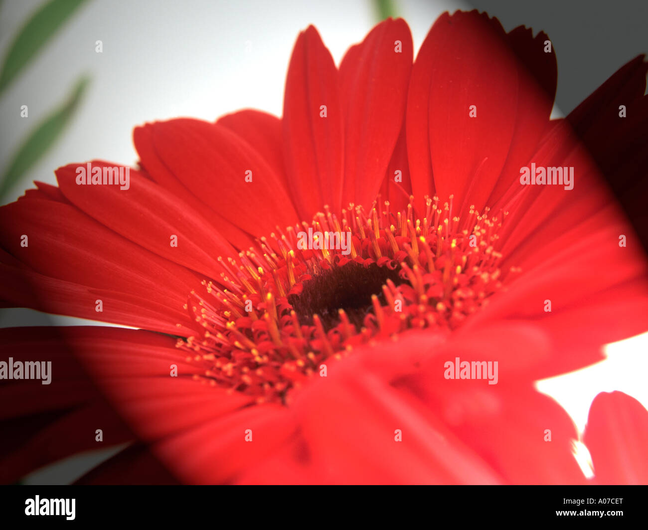 Shadows highlights hi-res stock photography and images - Alamy