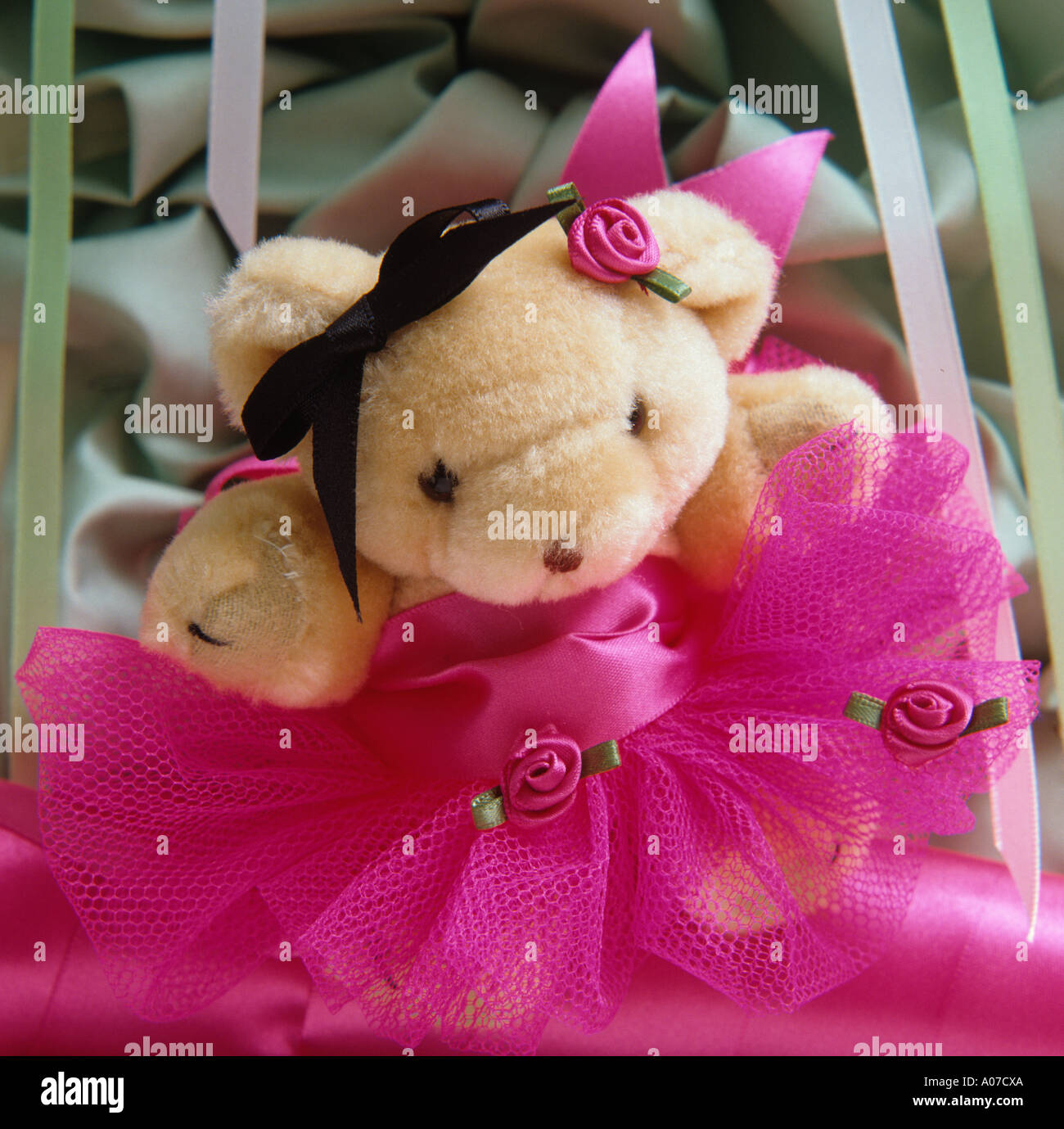 Toys Teddy bear dressed as ballet dancer Stock Photo - Alamy