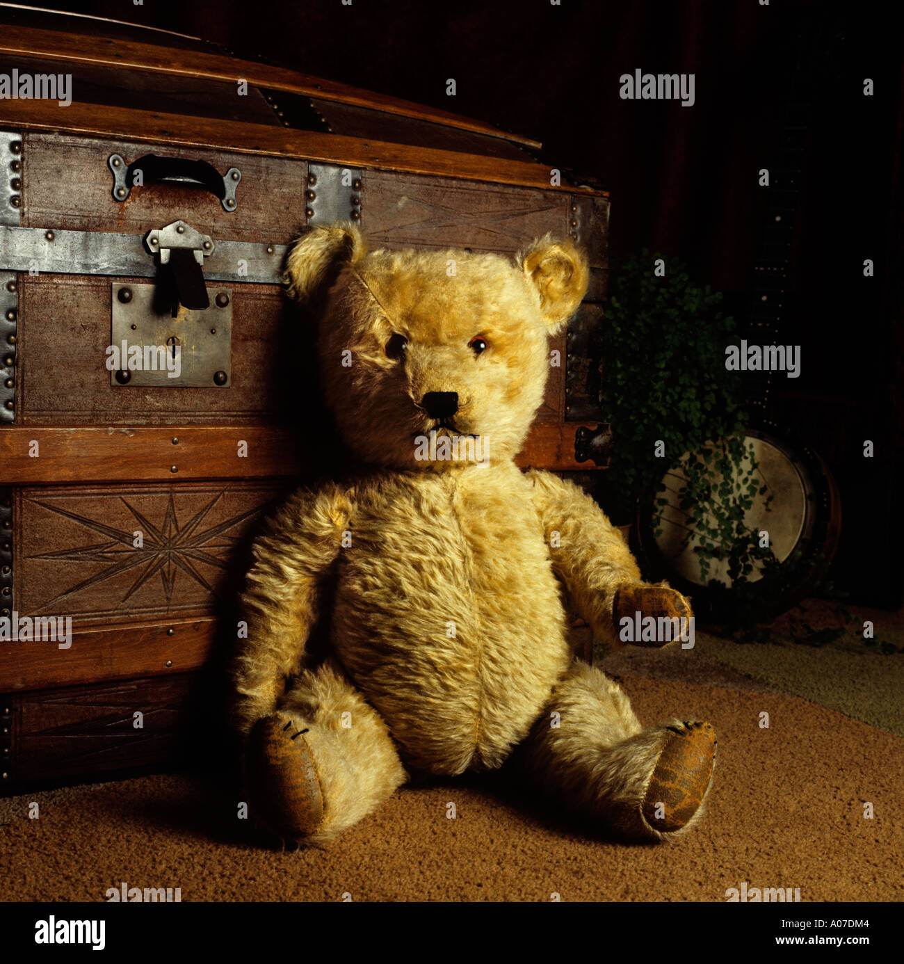 Toys traditional Teddy Bear Stock Photo - Alamy