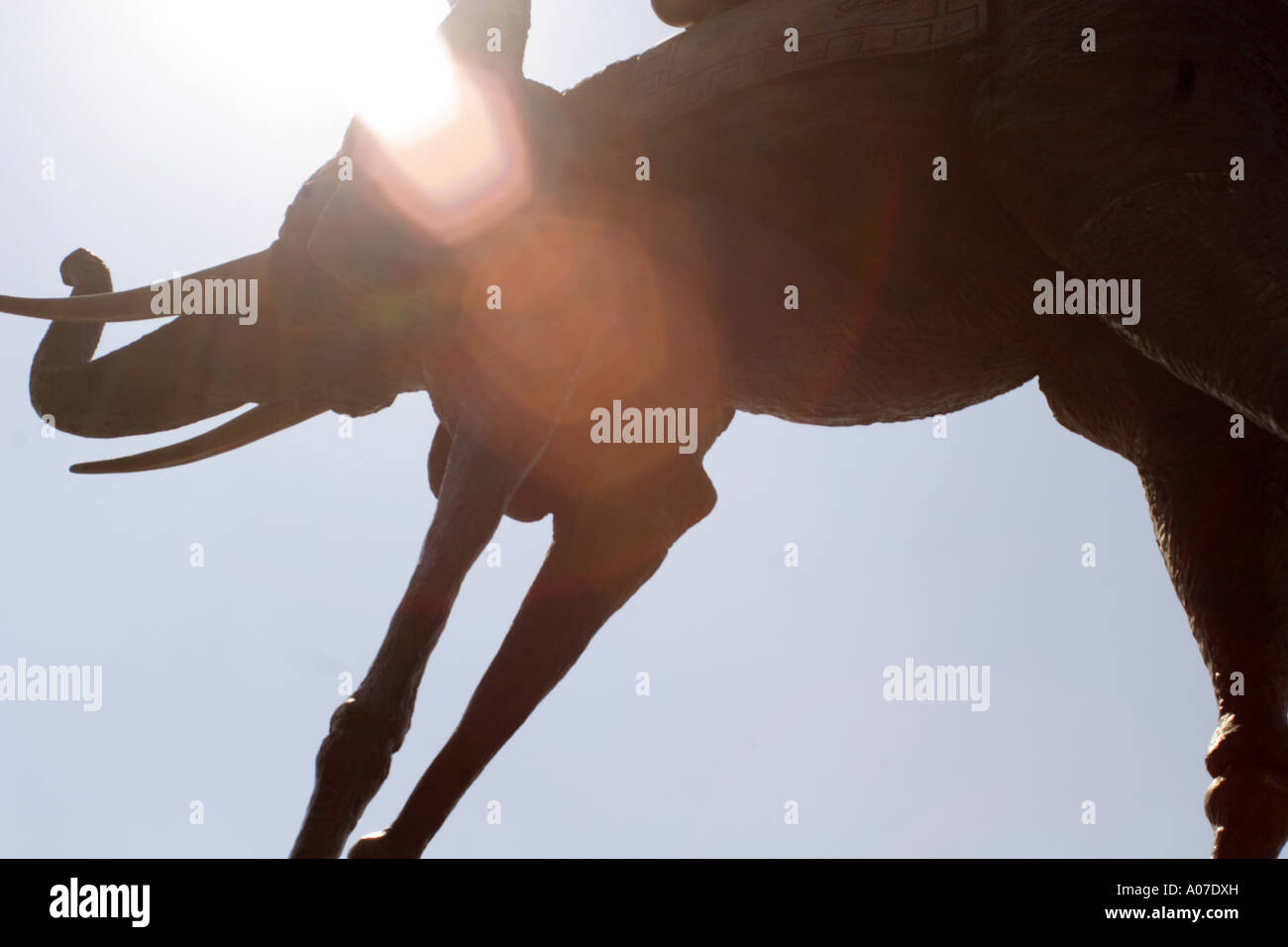 Salvador Dali Elephants Tuba