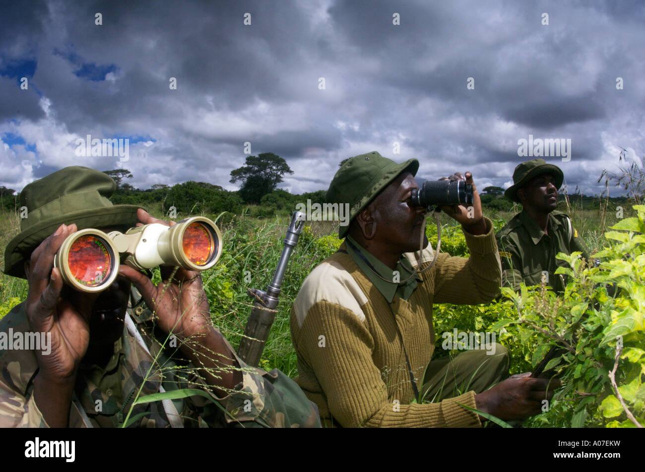 Kenya wildlife service kws rangers hi-res stock photography and images ...