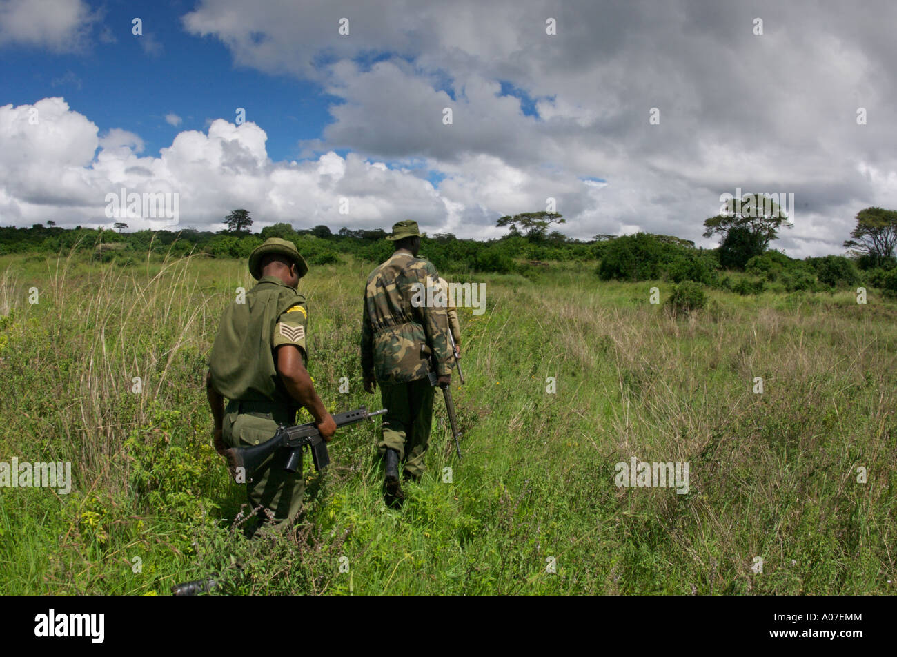 Kenya wildlife service kws rangers hi-res stock photography and images ...