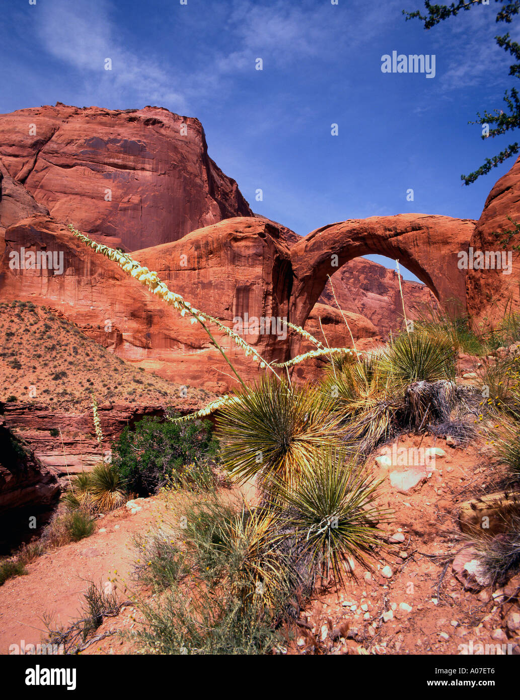 U S A Utah Rainbow Bridge National Monument Stock Photo - Alamy
